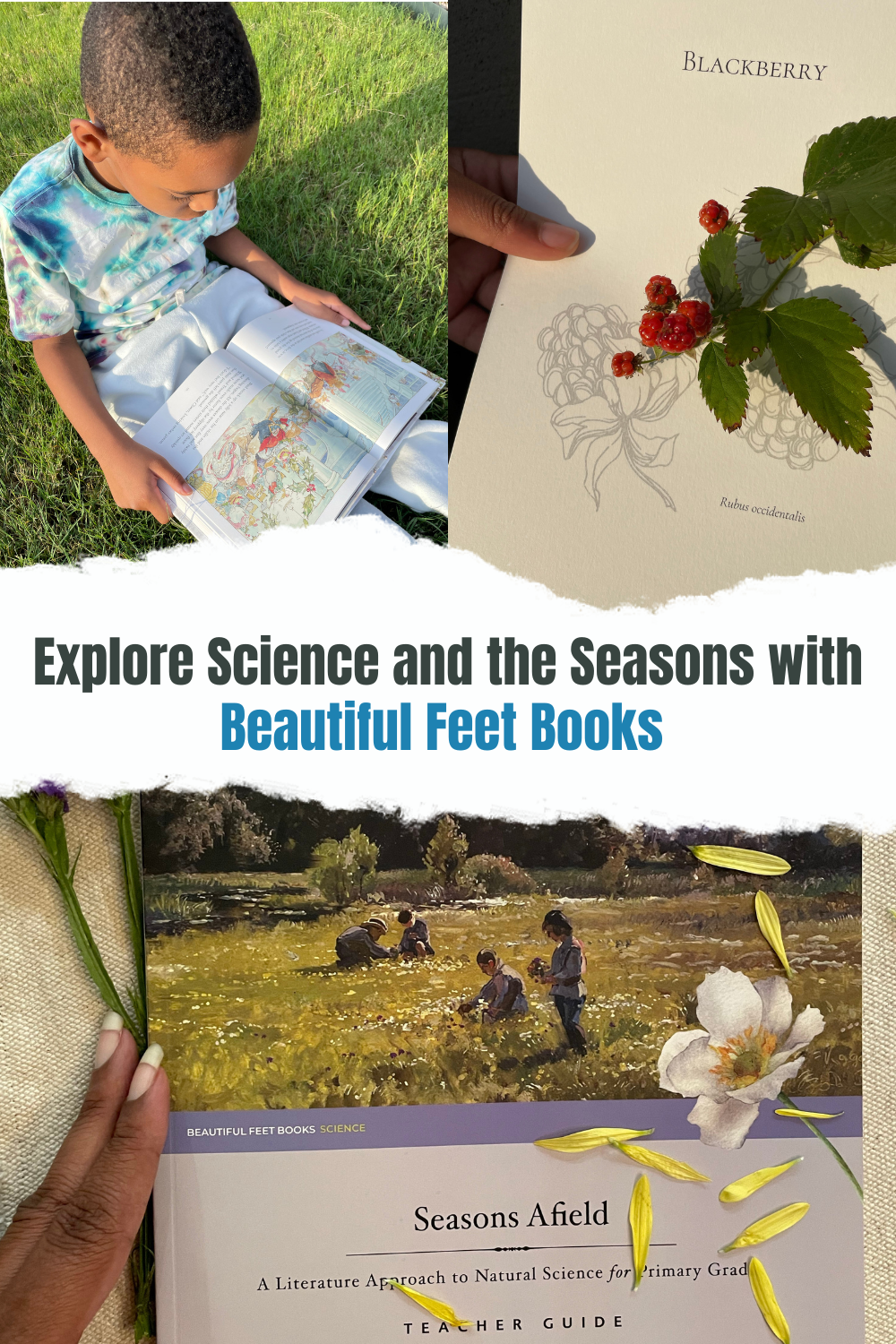 Explore Science and the Seasons with Beautiful Feet Books – @Mamasweetbaby