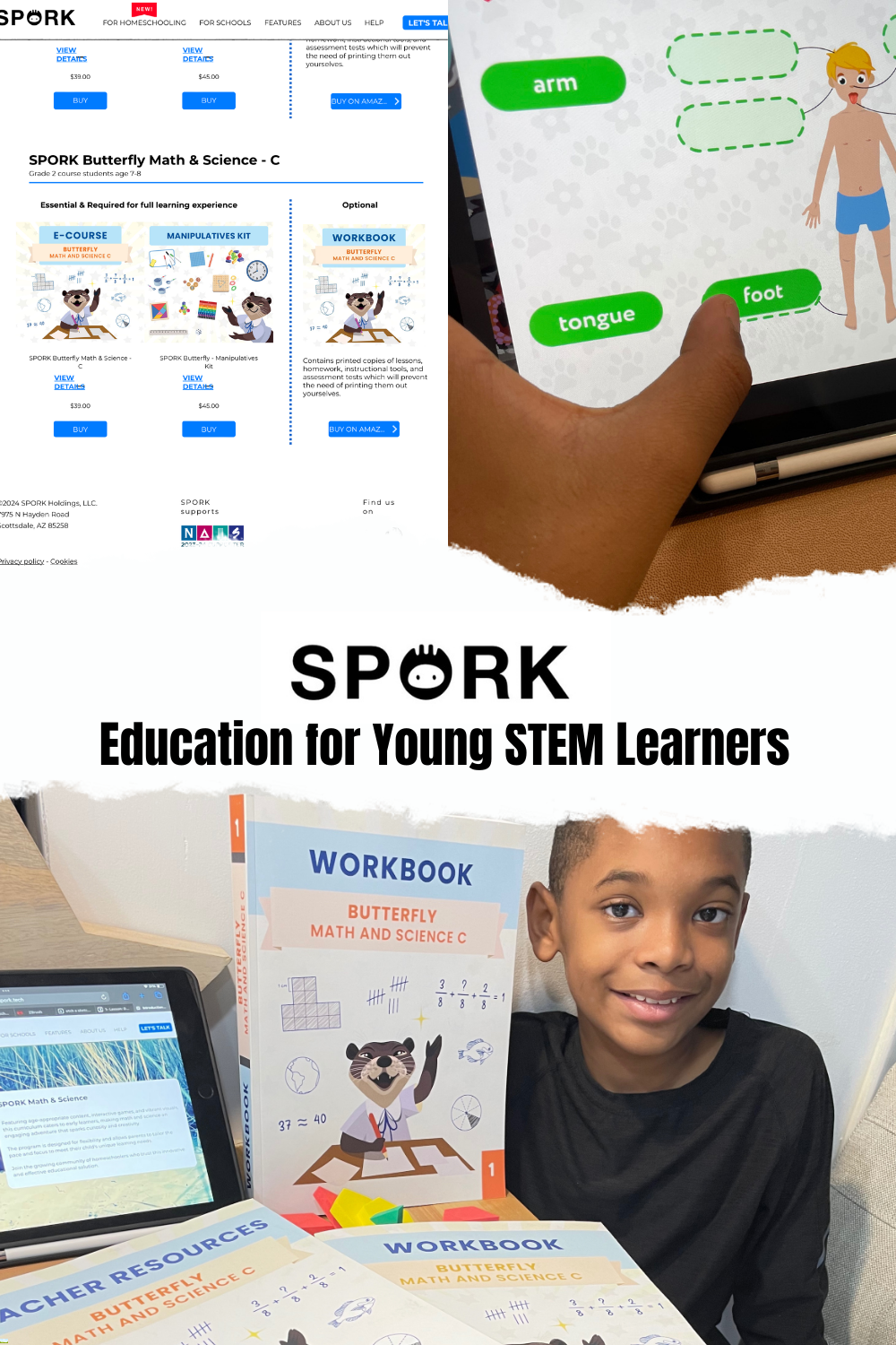 Rigor, Flexibility, and Fun: SPORK Education for Young STEM Learners ...