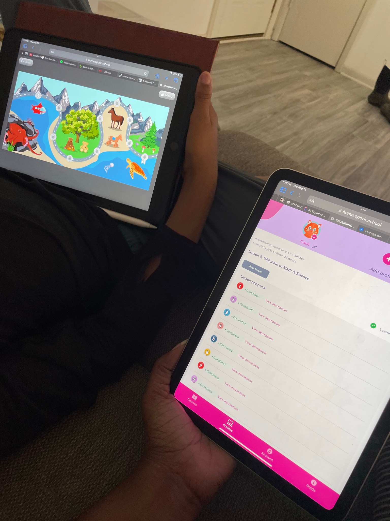 Rigor, Flexibility, and Fun: SPORK Education for Young STEM Learners ...